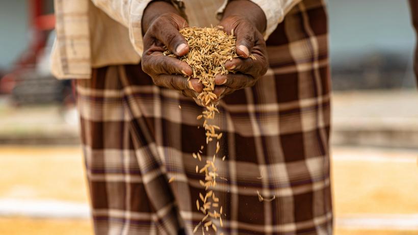 IGC research in Tanzania 2009-2018 (Project summaries) | International ...