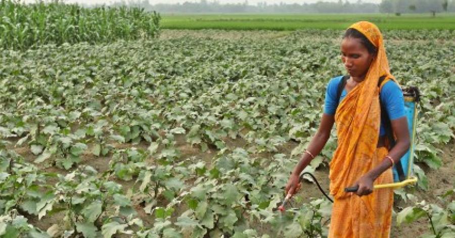Closing the gender gap: The face of women in farming | International ...