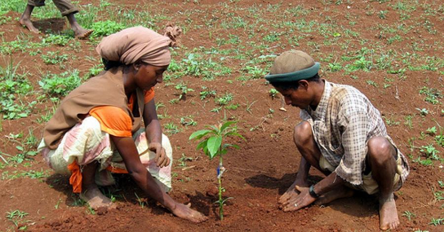 Agricultural cooperatives in Ethiopia: Do they matter? | International ...