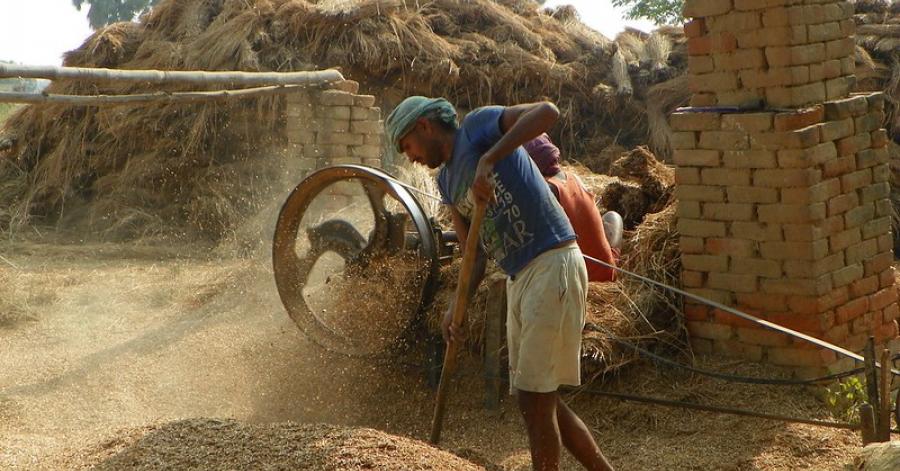 Changing lives and livelihoods in the wake of COVID-19 pandemic in ...