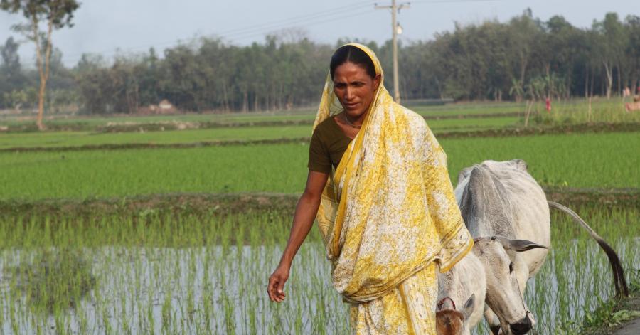 Transforming the lives of the ultra-poor | International Growth Centre