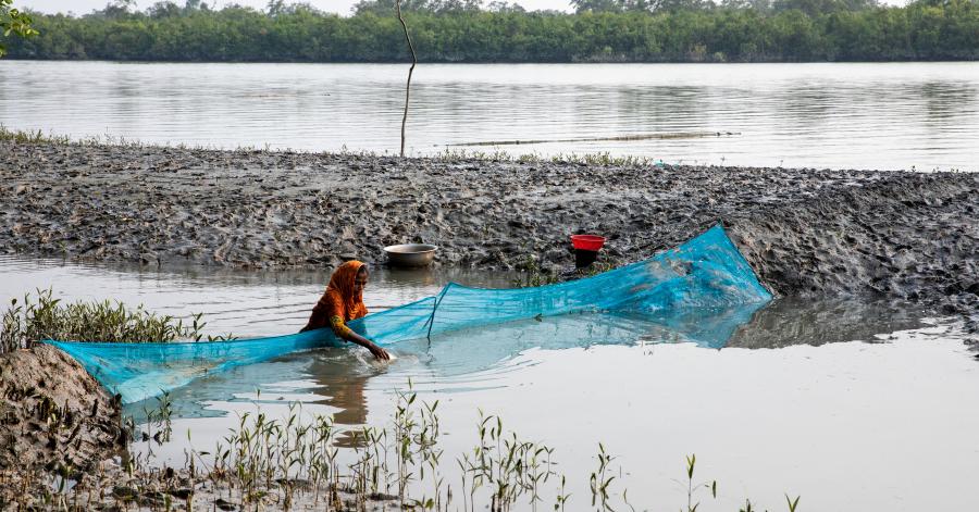 Sustainable fishing and women's labour in the blue economy ...