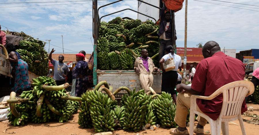 Expanding trade opportunities for Uganda | International Growth Centre