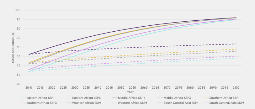Sustainable urbanisation in developing countries: Cities as places to ...