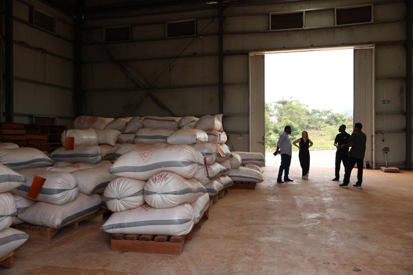 Driving Transformational Change in Ghana: Supporting the Ghana ...