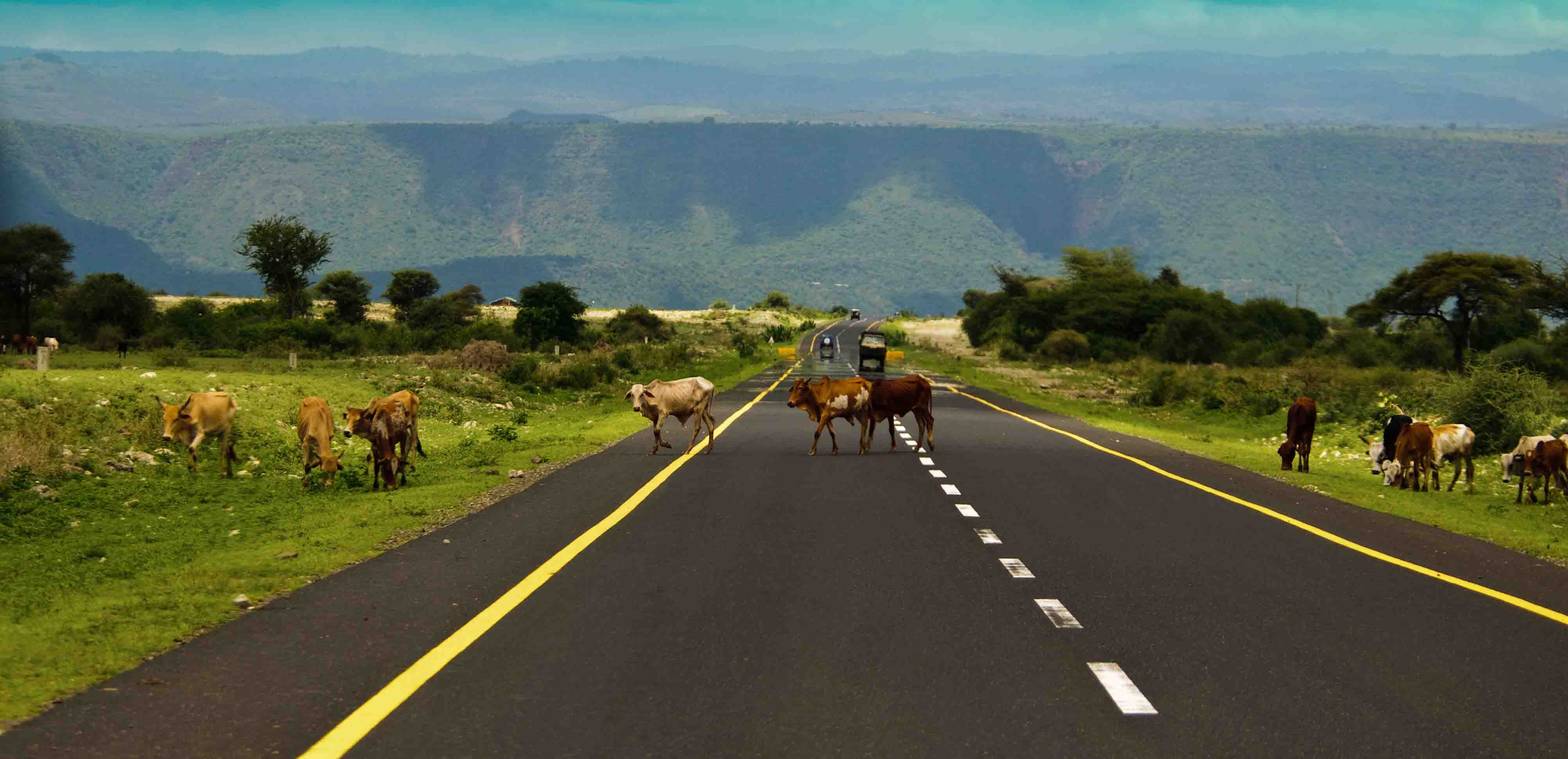 Tanzania - Firms - Roads 2 (310x150) - IGC